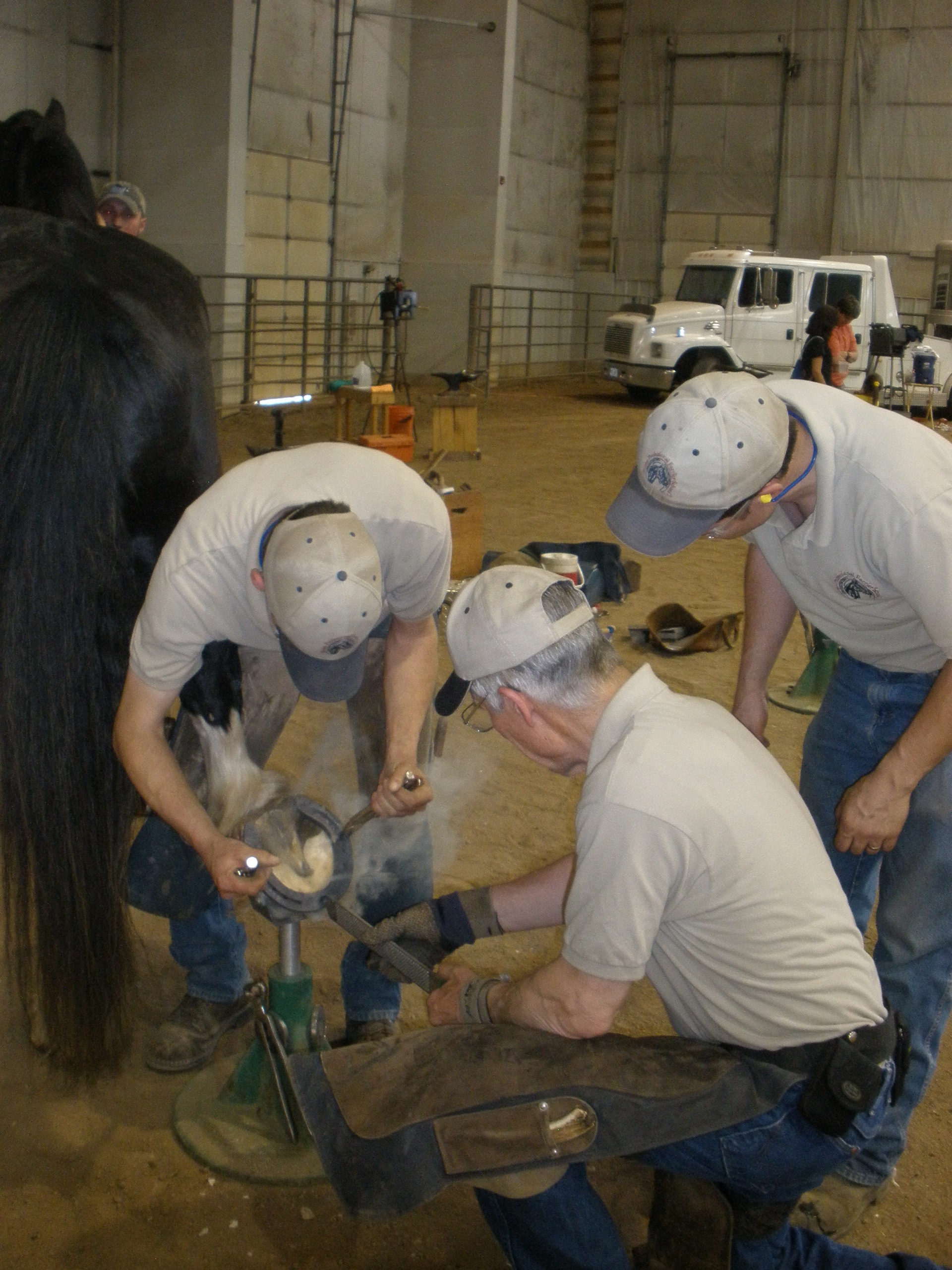 Shoeing Draft Horses | Butler Professional Farrier Schools